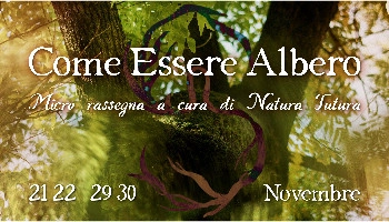 Comune di Este - Home